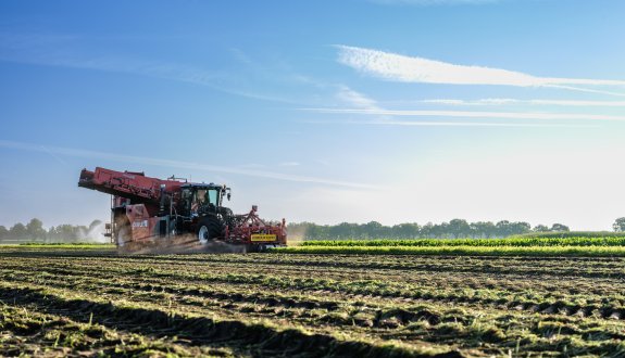 Our chain | VanRijsingenGreen